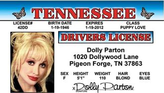 Signs 4 Fun Schilder 4 Fun Dollys Fahrerschein