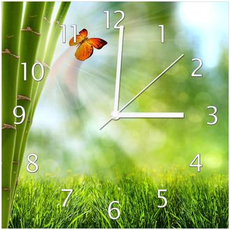 Wallario Design-Wanduhr Schmetterling im Grünen mit Bambus aus Glas, Motiv-Uhr Größe 30 x 30 cm, weiße Zeiger