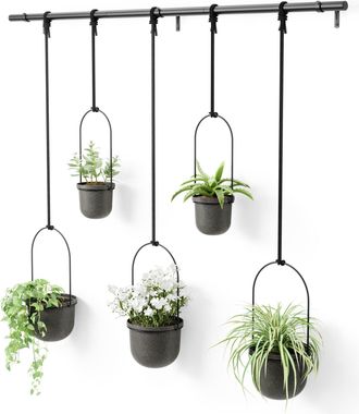 Umbra Triflora Vase, Hängeblumentopf, Wandvase, Blumenampel für Wand- und Deckenanbringung, 5er-Set, Schwarz