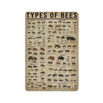 IUBBKI Vintage Metall Blechschild Arten von Bienen Eisen Malerei Home Küche Garage Mann Höhle Wanddekoration Plakette Kunst Poster Lustiges Geschenk
