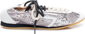 Puraai Femme, Chaussures, Gris, Taille: 39 EU Lion Baskets Basses &agrave; Double Lacets