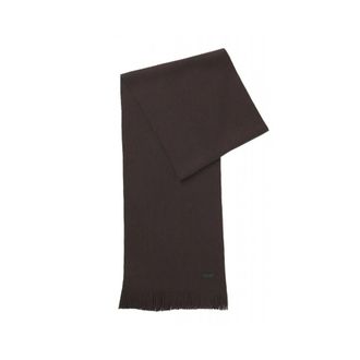 HUGO BOSS Homme, Accessoires, Brun, Taille: ONE Size Boss - Accessories > Scarves