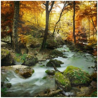 Wallario Glasbild Wasserfall mit moosbedeckten Steinen im Herbstwald - 50 x 50 cm Wandbilder Glas in Premium-Qualit&auml;t: Brillante Farben, freischwebende Optik
