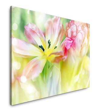 Paul Sinus Art zarte Tulpenbl&uuml;ten 40 x 60 cm Inspirierende Fotokunst in Museums-Qualit&auml;t f&uuml;r Ihr Zuhause als Wandbild auf Leinwand in