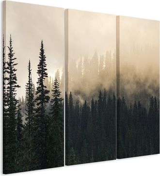 Paul Sinus Art 3 teiliges Leinwand-Bild 3x90x40cm (Gesamt 130x90cm) Landschaftsfotografie - Nebel im Tannenwald auf Leinwand exklusives Wandbild moderne Fotografie f