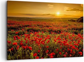 Arttor Bilder auf Leinwand 100x70cm Leinwandbild mit Rahmen Mohn Blume Wiese Groß Wanddeko Bild Schlafzimmer Küche Deko Wandbilder Dekoration Wohnzimmer Wall