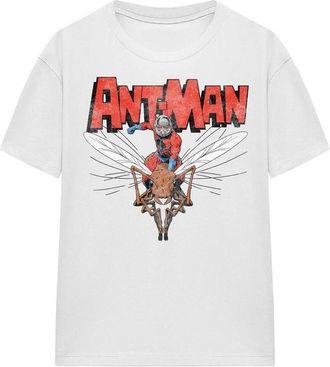 Ant-Man TV25742