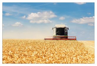 Wallario selbstklebendes Poster - Erntezeit auf dem Feld, Aufkleber in Premiumqualit&auml;t, Klebefolie Gr&ouml;&szlig;e: 61 x 91,5 cm (Maxiposter)