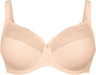 Rosa Faia BH Eloise