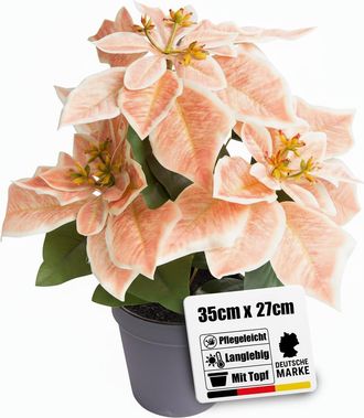 Botanic-Haus künstliche Poinsettie (Weihnachtsstern) lachsorange mit 3 Blüten im schwarzen Kunststofftopf, Höhe ca. 35 cm - die Kunstblume Poinsettie sorgt zwische
