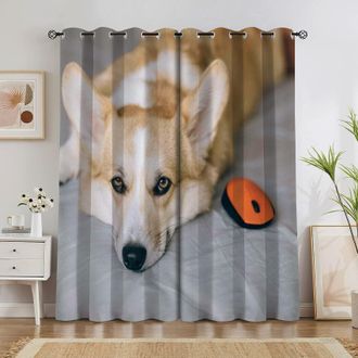 Generic Verdunkelungsvorhang Minimalistisch Thermovorhang K&auml;lteschutz Corgi Blickdicht &Ouml;senschal f&uuml;r Gardinen Wohnzimmer & Schlafzimmer H 260 x B 300 cm 2er S