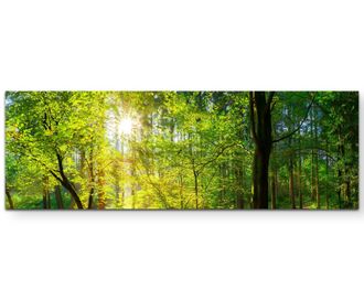 Paul Sinus Art Wandbild auf Leinwand 120x40cm Wald im Sonnenschein