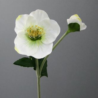 Gasper Kunstblume CHRISTROSE Schneerose mit Bl&uuml;te und Knospe. Ca 44 cm