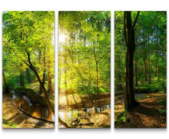 Paul Sinus Art Leinwandbilder | Bilder Leinwand 130x90cm Wald im Sonnenschein