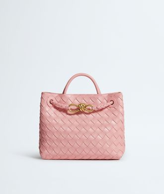 Bottega Veneta Andiamo Petit Format - Bottega Veneta