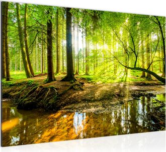 Runa Art Bild Wald Landschaft Modern Wandbilder Schlafzimmer Wohnzimmer 1 Teilig - Made In Germany - Natur Grün Flur 611715a