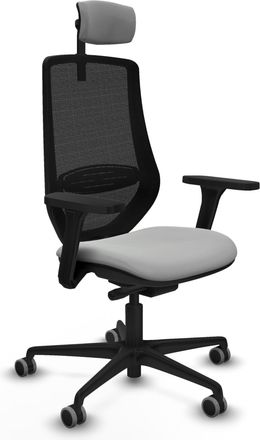 Piqueras y Crespo Ergonomischer Stuhl f&uuml;r Marderkontrollzentren mit 3D-Armen, h&ouml;henverstellbare Lendenwirbelst&uuml;tze und h&ouml;henverstellbares Kopfteil, Schwarz / Hellgrau