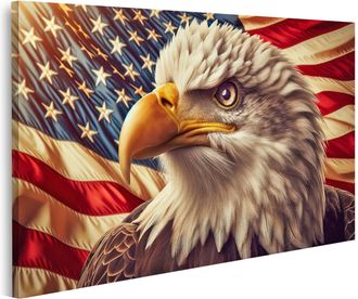 Islandburner Bild auf Leinwand Adler vor amerikanischer Flagge Bilder Wandbilder Poster