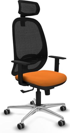 Piqueras y Crespo Cylinanco Stuhl mit 1D-Armlehnen, h&ouml;henverstellbarer Lendenwirbelst&uuml;tze und Kopfteil, h&ouml;henverstellbar und neigbar, ausgestattet mit 3 Positionen, Sch