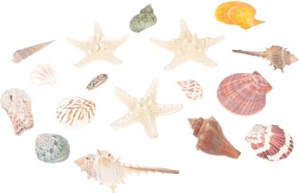 Holibanna Natürliche und Seestern Deko Mix Mittlere für Aquarium Fischbecken und Crab House Teiliges für Lebendige Unterwasserlandschaft und Tischdekoration