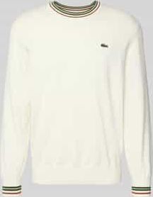 Lacoste Regular Fit Strickpullover aus reiner Baumwolle