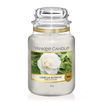 Yankee Candle Company Duftkerze im Glas (groß) | Camellia Blossom | Brenndauer bis zu 150 Stunden | Garden Hideaway Kollektion