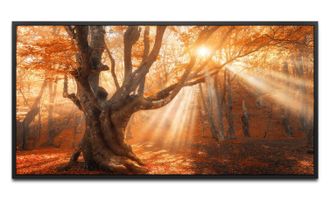 Paul Sinus Art Magischer alter Baum ca. 130x70cm Wandbild inklusive Schattenfugenrahmen schwarz - Panorama Leinwand Bild XXL Format Wandbilder Wohnzimmer Wohnung Dek