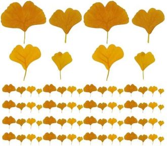 Cabilock Feuilles de Ginkgo Artificielles R&eacute;alistes Fausses Feuilles dautomne D&eacute;coratives pour F&ecirc;te Ensemble de D&eacute;coration Ginkgo