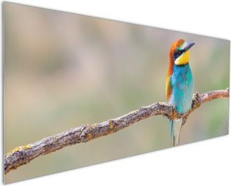 Wallario K&uuml;chenr&uuml;ckwand aus Glas 125 x 50 cm, Motiv: Vogel auf AST | Spritzschutz abwischbar & pflegeleicht