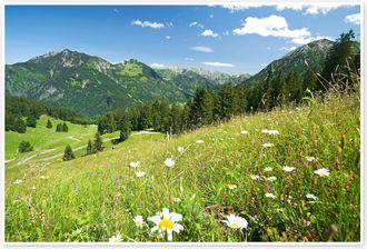 Posterlounge Almwiese Allgäuer Alpen Poster von bildpics 60 x 40 cm Grün Wandbilder Wanddeko