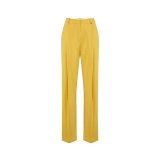 Elisabetta Franchi Femme, Pantalons, Jaune, Taille: 42 FR Wide Pantalons