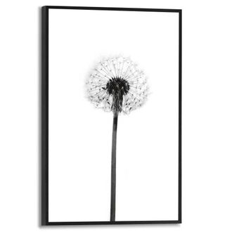 Reinders Gerahmtes Bild, Pusteblume, K&uuml;che, Bilder, Wanddeko, Room Decor, MDF, Schwarz-Wei&szlig;, 30 x 20cm