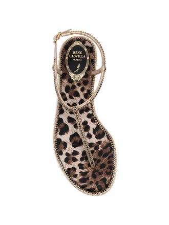 Rene Caovilla Diana Sandal - Tan
