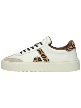 Blackstone Sneaker Quartz Auden EL280