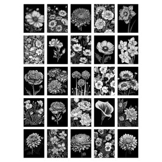 Artery8 50 Pcs Flower Floral Aesthetic Black White Collage Kit Wall Art Prints A6 Set Pack 14.8 x 10.5 cm (5.8 x 4.1) Wall Home Student Boy Girl Teen Room Ele