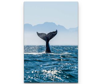 Paul Sinus Art Leinwandbilder | Bilder Leinwand 90x60cm Schwanzflosse Wal im Meer