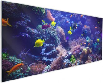 Wallario K&uuml;chenr&uuml;ckwand aus Glas 125 x 50 cm, Motiv: Farbenwelt unter Wasser | Spritzschutz abwischbar & pflegeleicht