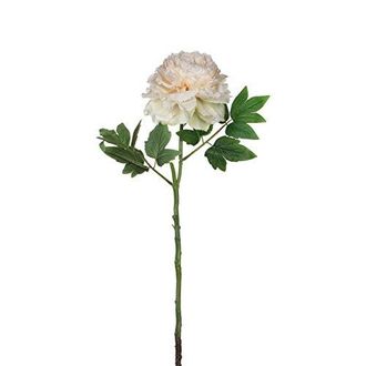 Mica Mica Decorations Pfingstrose cremefarben 1005723 H: 63 cm