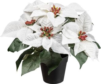 Creativ Green künstlicher Weihnachtsstern im Topf 26cm in weiß I Weihnachtsstern im Topf I Kunstblumen Weihnachten mit 5 realitätsnahen Blüten I künstliche Weihnach