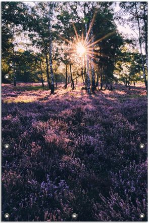 Wallario Outdoor-Poster f&uuml;r Garten oder Balkon Heide im Morgenlicht, Motivbanner Gr&ouml;&szlig;e: ca. 80 x 120 cm, Outdoor-Bild