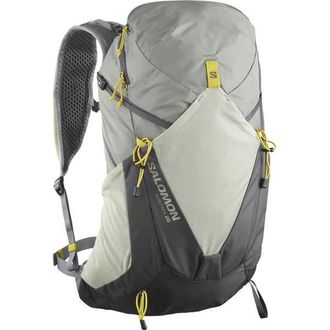 Salomon Rucksack AEROTREK 20 SEDONA SAGE/SEAGRASS/Nine Ir