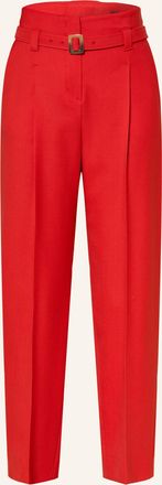 Windsor Windsor. Hose rot