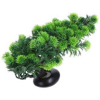 Lurrose K&uuml;nstliche Kiefernbaum Dekoration Sushi Teller Pflanzenschmuck Lebensecht mit Sockel f&uuml;r Restaurant und Essenspr&auml;sentation