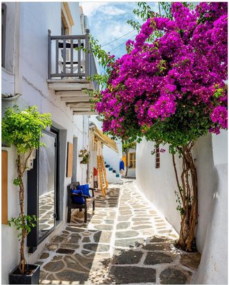 Wallario Poster - Griechische Bl&uuml;tengasse in Premiumqualit&auml;t, Gr&ouml;&szlig;e: 40 x 50 cm