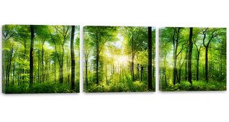 Feeby Frames Feeby Bilder 3 Teile Wald Bäume 180x60 cm Wohnzimmer Schlafzimmer Büro Flur Küche Wandbilder Modern Bild auf Leinwand Wanddekoration Kunstdruck Design