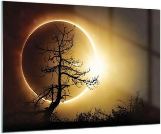 Arttor Bilder auf Glas 100x70cm Glasbild Sonnenfinsternis die Sonne Baum Groß Wanddeko Bild im Glas Schlafzimmer Küche Deko Wandbilder Dekoration Wohnzimmer 