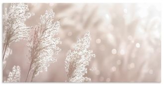 Artland ARTland Wanddeko Wandbild Alu Verbundplatte f&uuml;r Innen & Outdoor Bild 100x50 cm Pflanzen natural elements Gr&auml;ser Pampasgras im Sonnenlicht Boho Deko U5