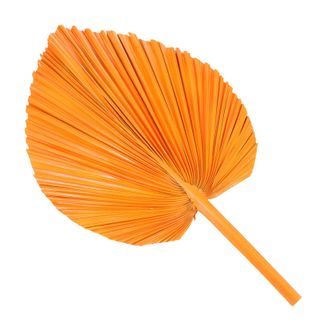 Garneck Simulierter Rohrkolbenf&auml;cher Aprikose Stiele Zitronendekor Aufblasbare Palmen Zubeh&ouml;r Partydekorationen Wedel Girlande L&uuml;fter Gitter Tisch Pampas Farn