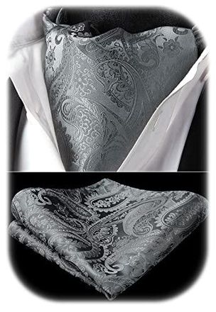 Hisdern Ascot gris Homme Paisley Cravates Jacquard Mariage Foulard Floral &Eacute;l&eacute;gant Ensemble Cravate Classique et Pochette pour Business