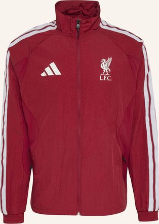 adidas Fc Liverpool Anthem Heimjacke rot
